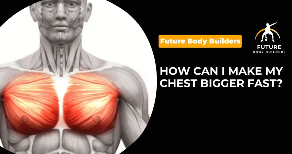 How can I make my chest muscles bigger fast? - Future Body Builders